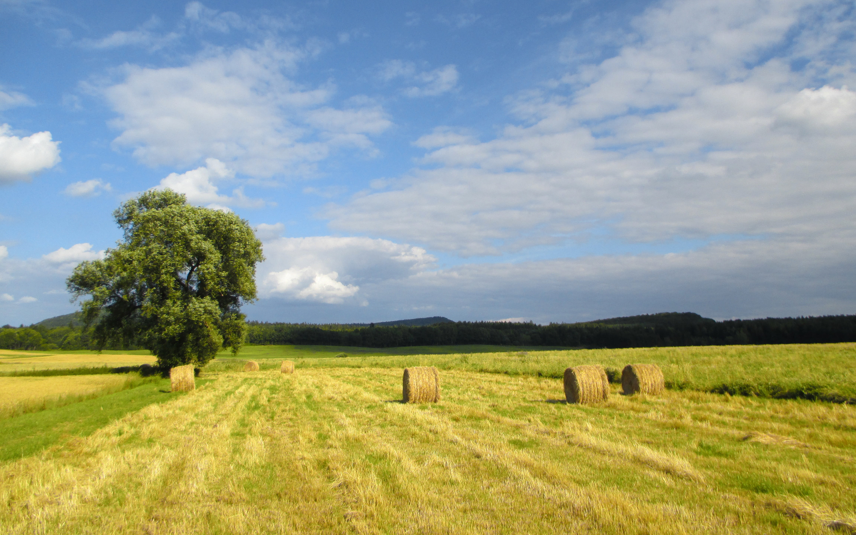 Čeština – Zahradnická fakulta MENDELU