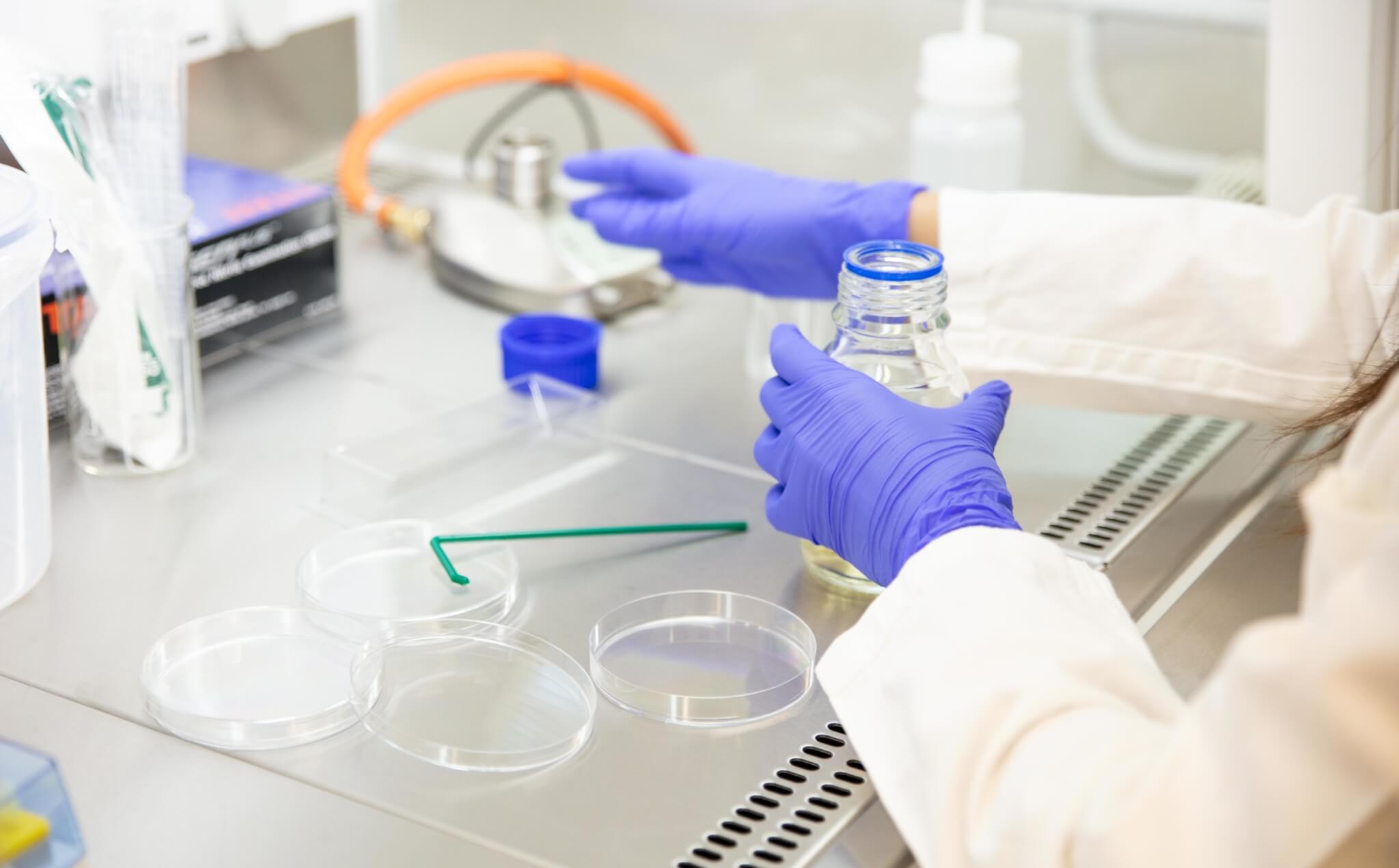 29. ročník konference MendelNet - MENDELU