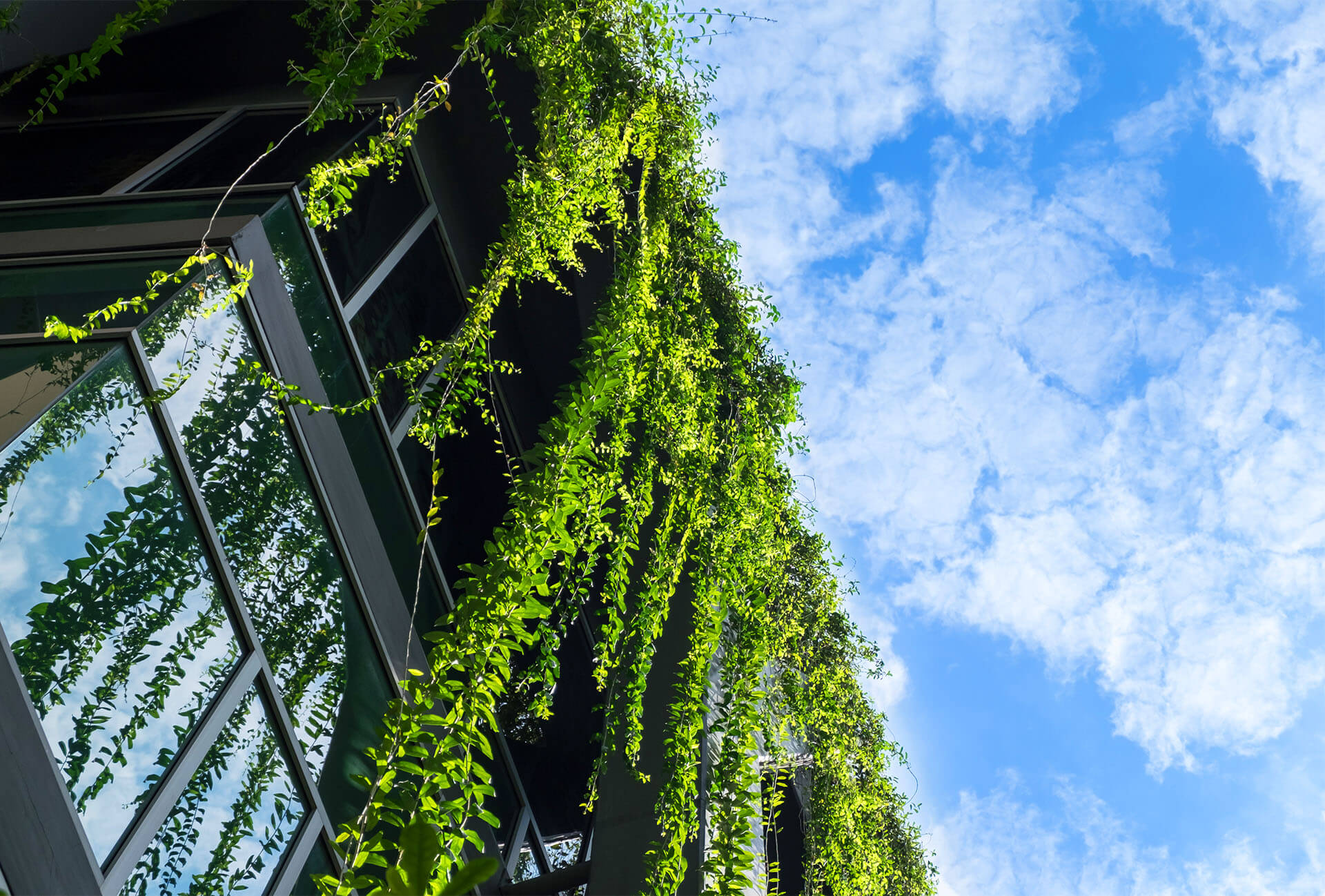 MENDELU spolupracuje s Brnem v adaptaci na klimatickou změnu - MENDELU