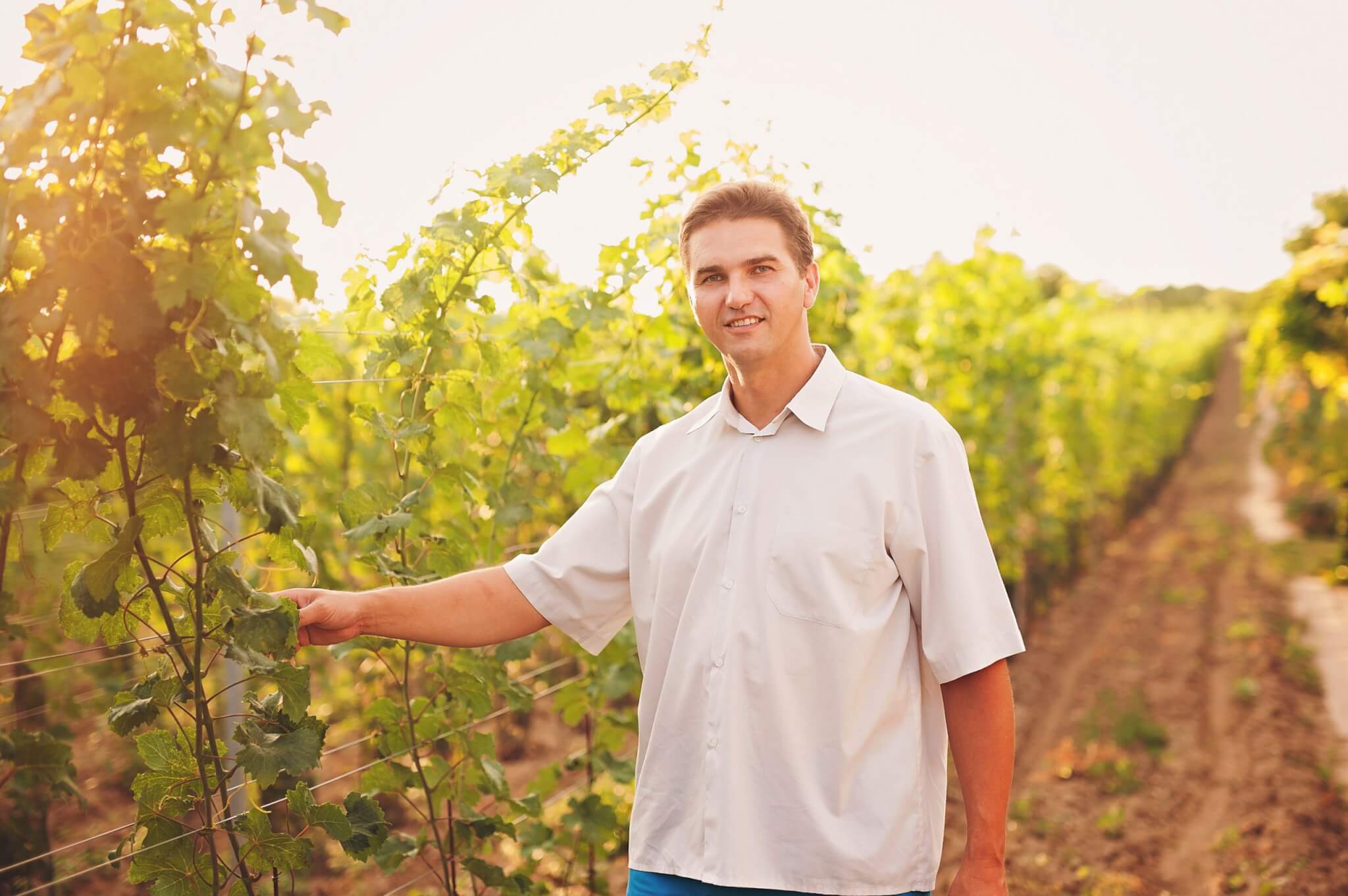 Zahradnickou fakultu od března povede Patrik Burg - MENDELU