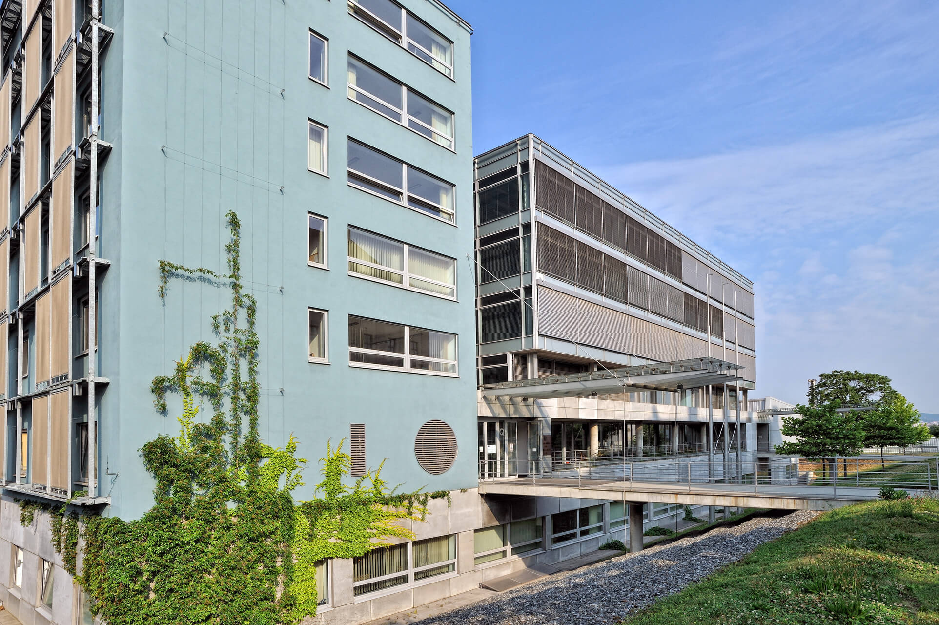 Volba děkana PEF MENDELU - MENDELU