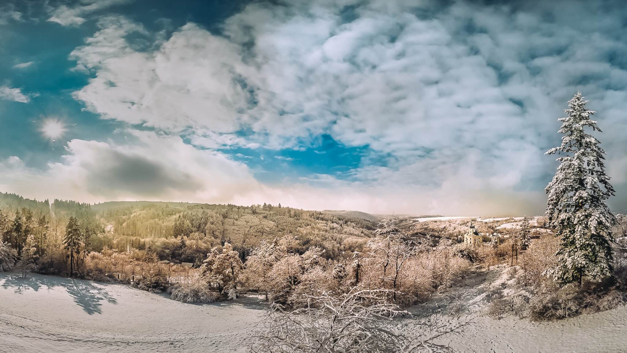 Exkurze do univerzitních lesů MENDELU - MENDELU