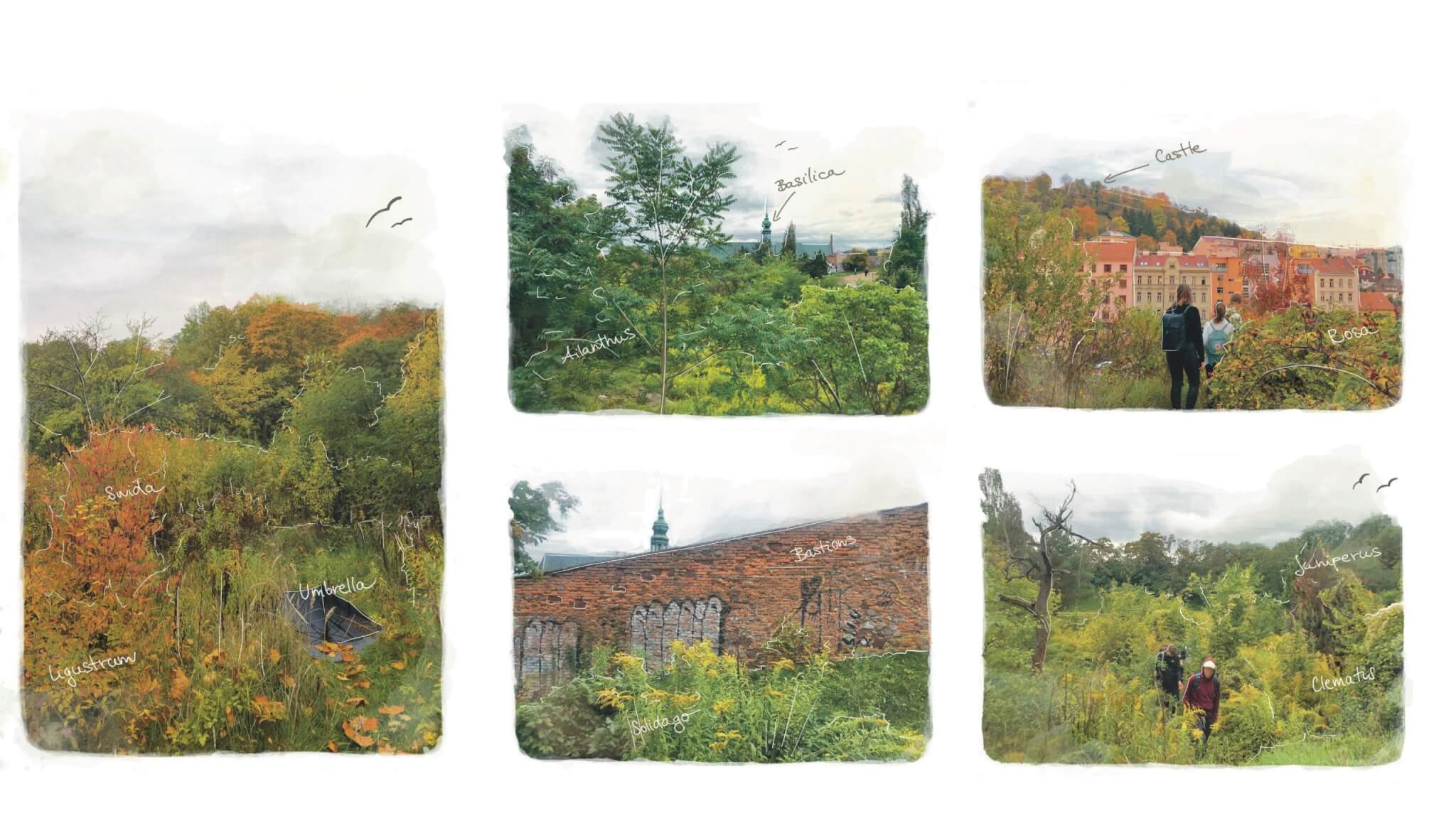 Landscape architects from ZF MENDELU succeed in international ...