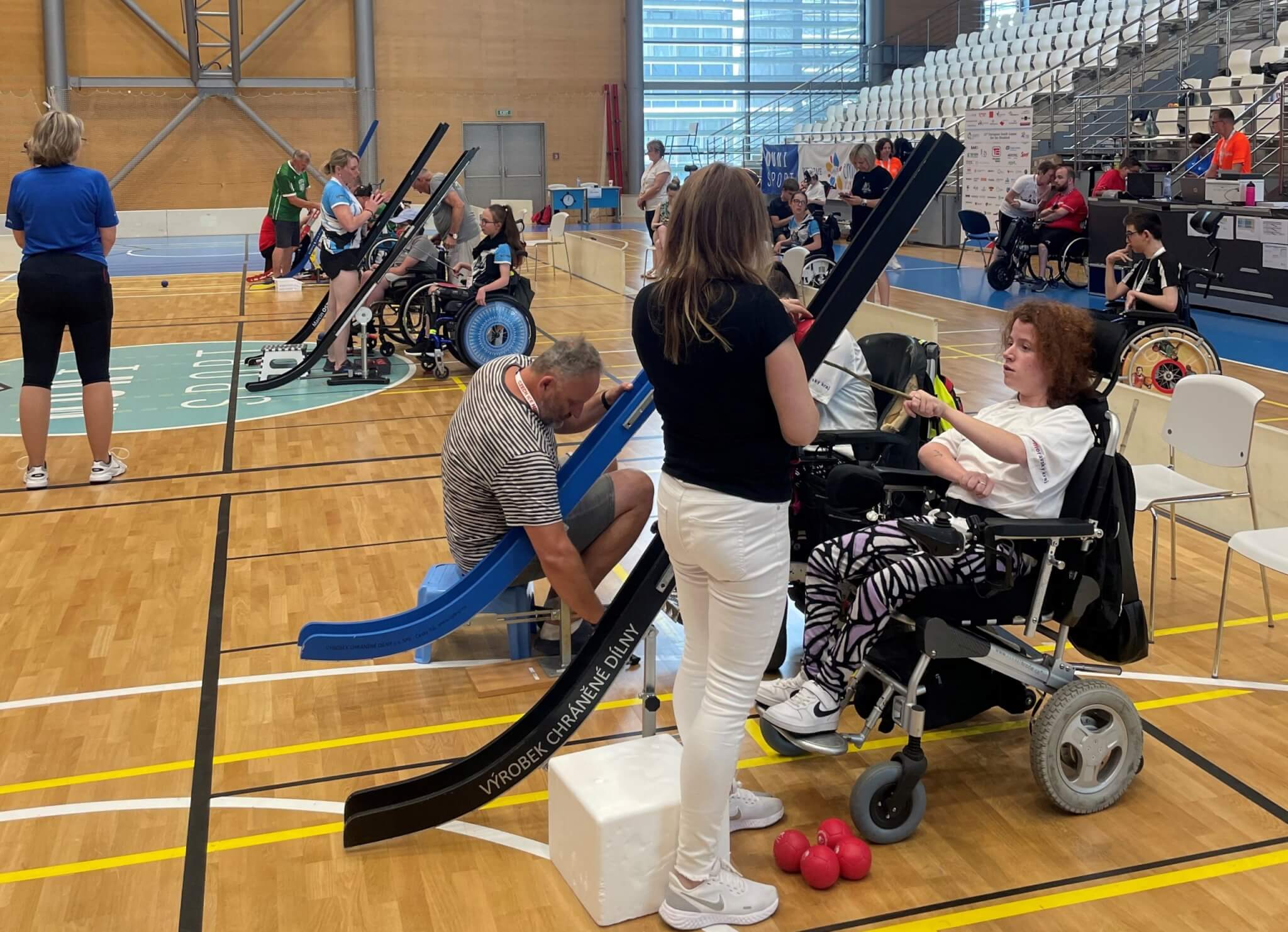 MENDELU podporuje sport handicapovaných dětí a mladistvých - Mendelova ...