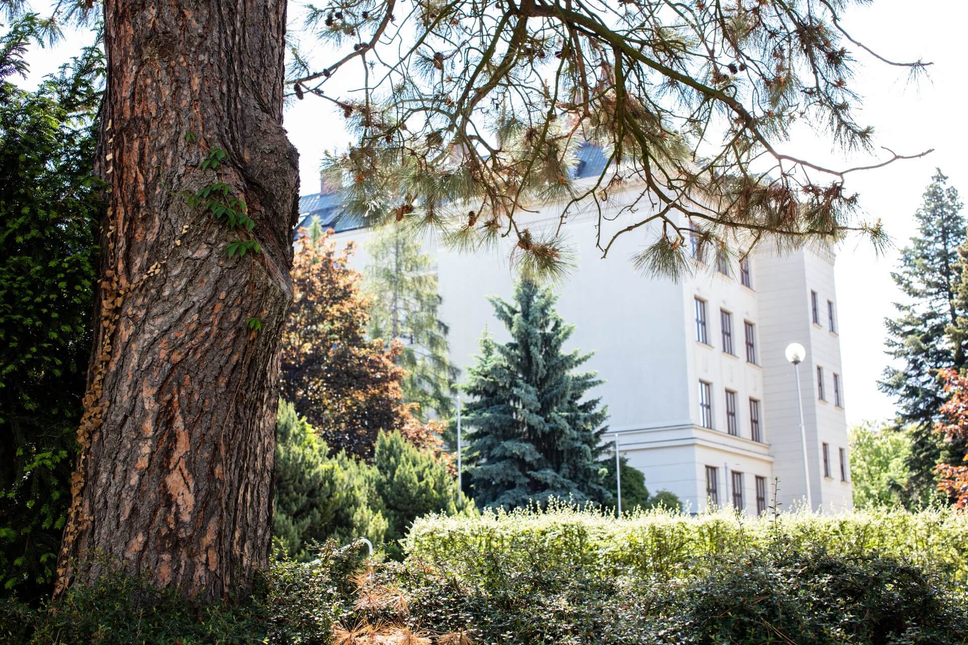 Sustainability is a priority for MENDELU, university has published a ...