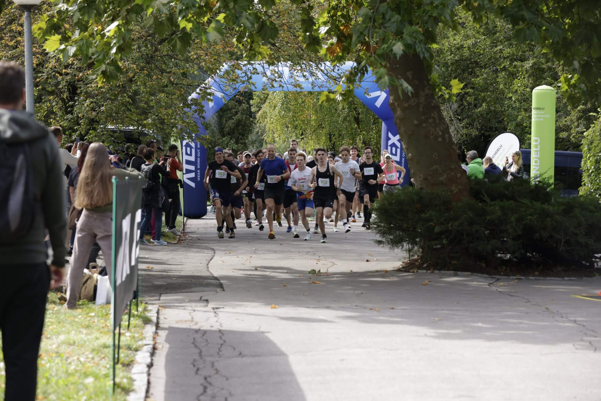 MENDELU Run - Mendelova univerzita v Brně