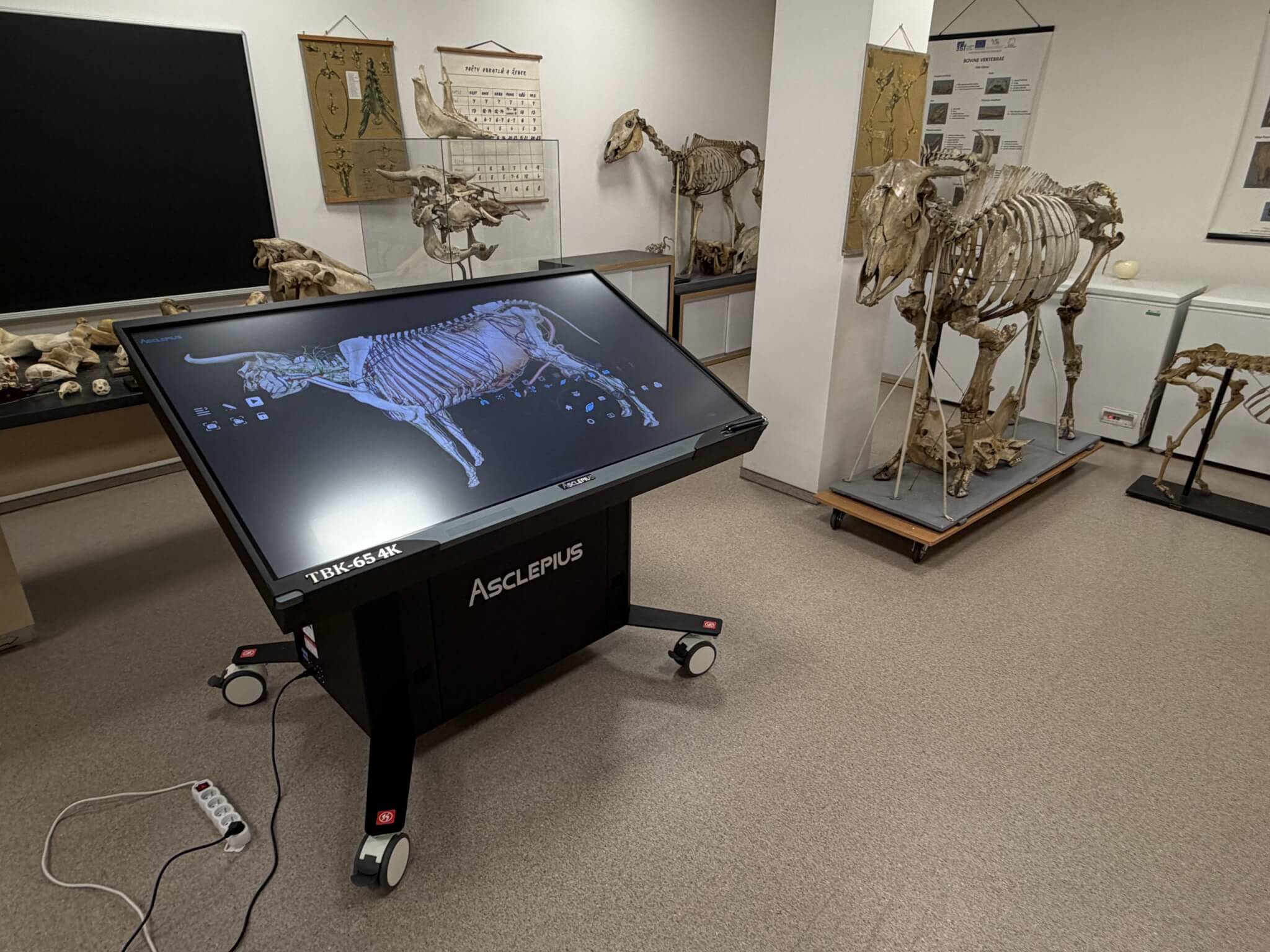 Online laboratory tours and virtual autopsy tables. Teaching at MENDELU ...